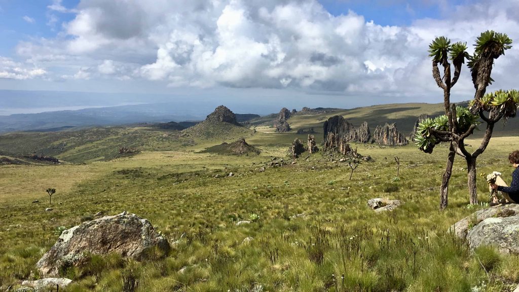 Aberdare National Park All You Need To Know Kori Safaris